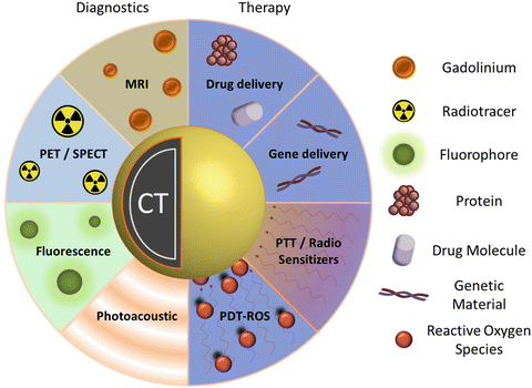 Theranostic Gold Nanoparticles for CT Imaging | SpringerLink