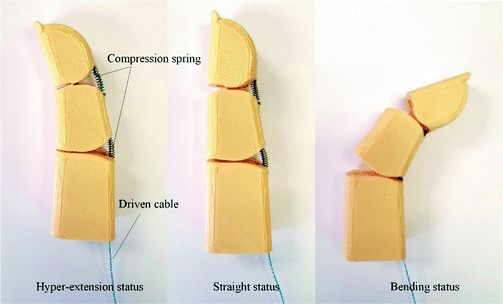 A Two-Fingered Anthropomorphic Robotic Hand with Contact-Aided Cross ...