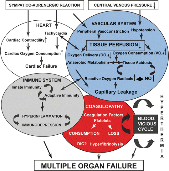 Initial Resuscitation and Management of the Hemodynamically Unstable ...