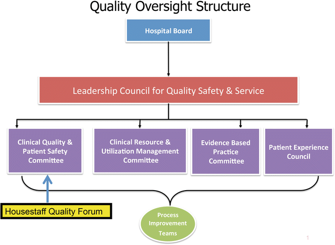 Executive Leadership and Surgical Quality: A Guide for Senior Hospital ...