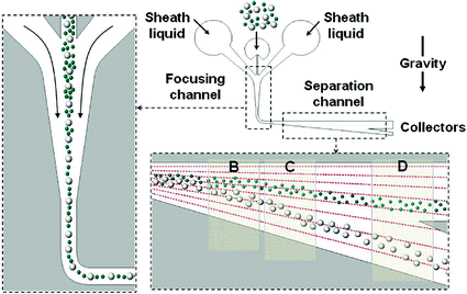 Gravity-Driven Fluid Pumping and Cell Manipulation | SpringerLink