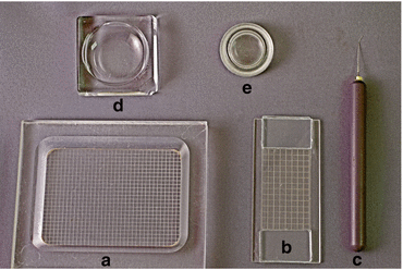 Techniques and Procedures | SpringerLink