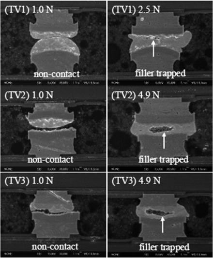 Fundamentals of Thermal Compression Bonding Technology and Process ...