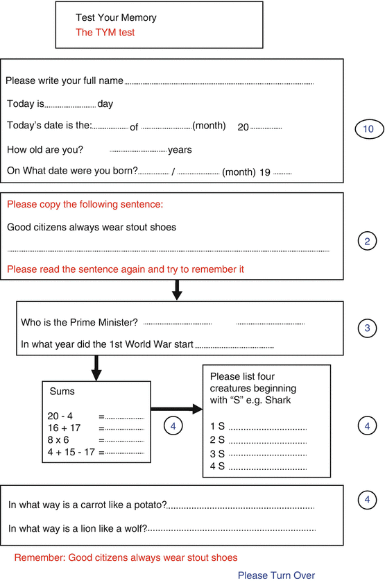 TYM (Test Your Memory) Testing | SpringerLink