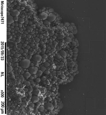 New Development Trend of Epoxy Molding Compound for Encapsulating ...