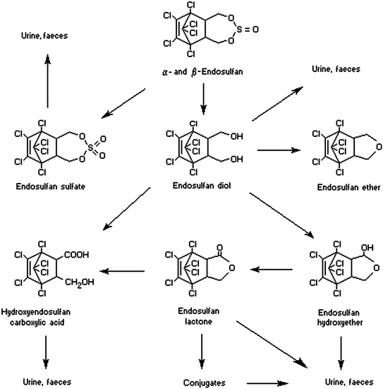 Endosulfan a Cyclodiene Organochlorine Pesticide: Possible Pathways of ...