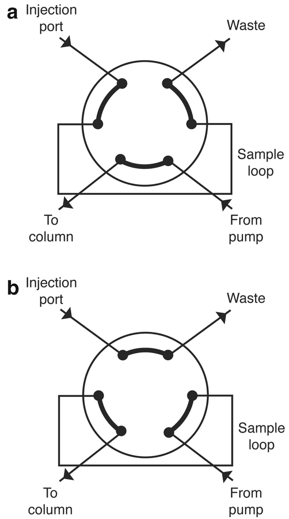 High-Performance Liquid Chromatography | SpringerLink