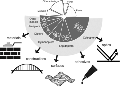 Insect-Inspired Architecture: Insects and Other Arthropods as a Source ...