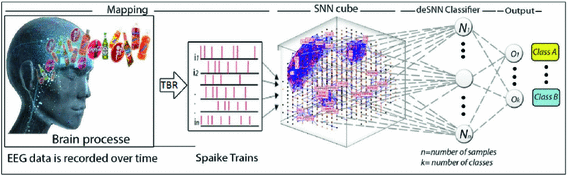 Efficient Recognition of Attentional Bias Using EEG Data and the NeuCube Evolving Spatio ...