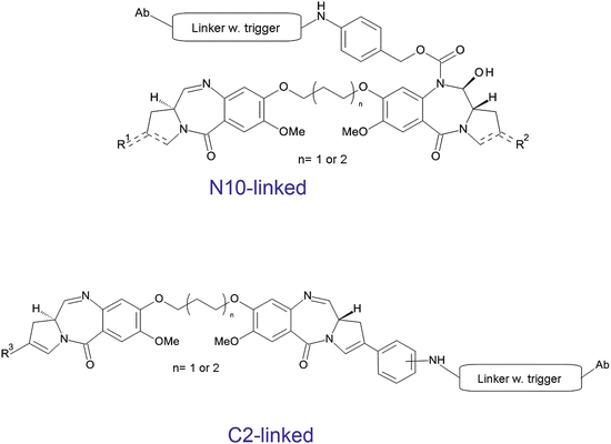 Preclinical Evaluation of ADCs Delivering Highly Potent ...
