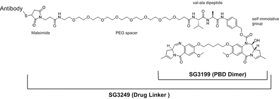 Preclinical Evaluation of ADCs Delivering Highly Potent ...
