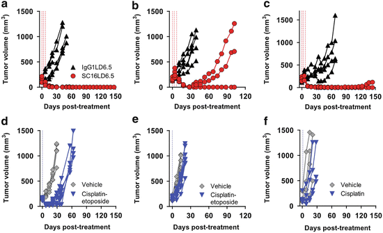 Preclinical Evaluation of ADCs Delivering Highly Potent ...