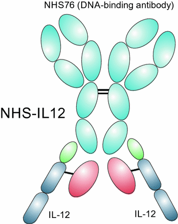 Clinical Trials with IL-12 in Cancer Immunotherapy | SpringerLink