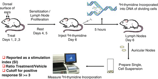 The Murine Local Lymph Node Assay | SpringerLink