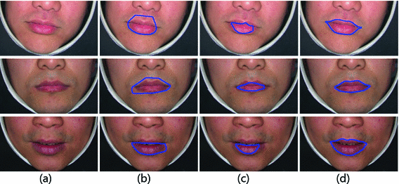 Robust Lip Segmentation Based on Complexion Mixture Model | SpringerLink
