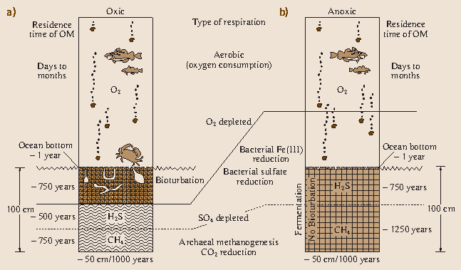 Origin of Petroleum | SpringerLink