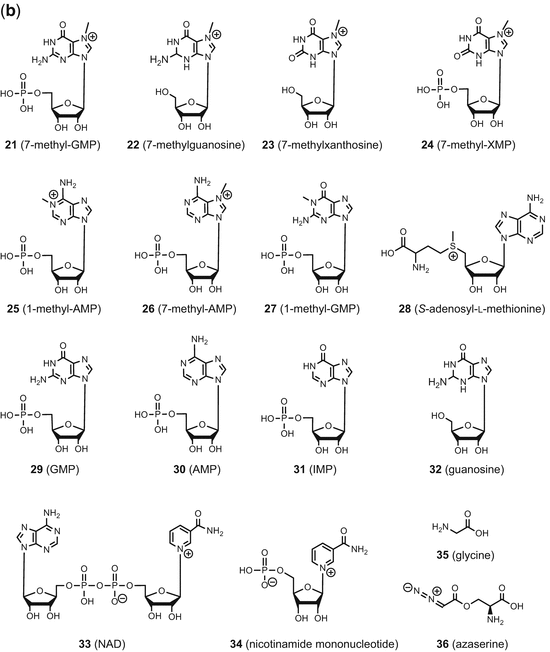 Xanthine Alkaloids: Occurrence, Biosynthesis, and Function in Plants ...