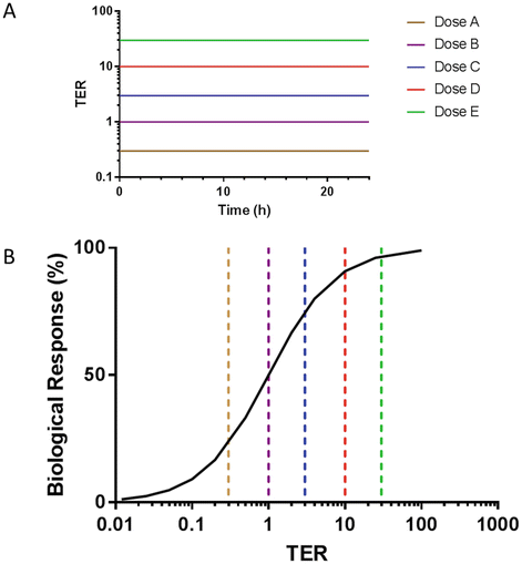 Target Engagement Measures in Preclinical Drug Discovery: Theory ...