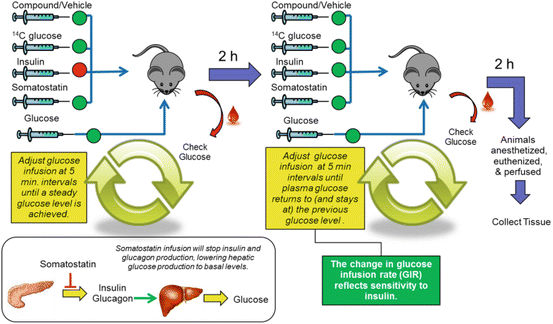 Target Engagement Measures in Preclinical Drug Discovery: Theory ...