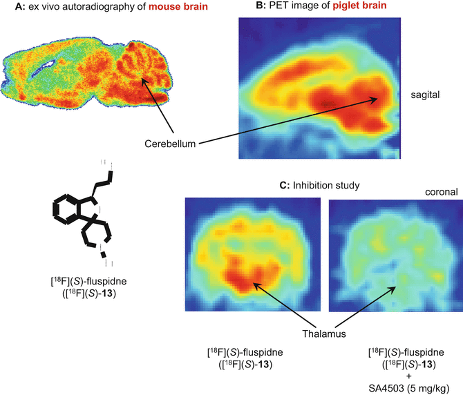 Fluorinated PET Tracers for Molecular Imaging of σ1 Receptors in the ...