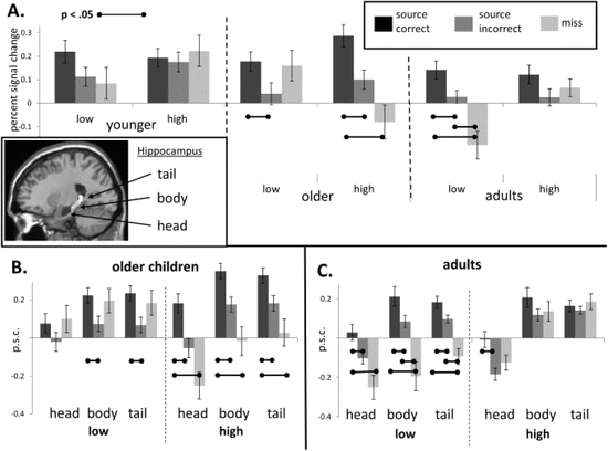 Hippocampal Development: Structure, Function and Implications ...