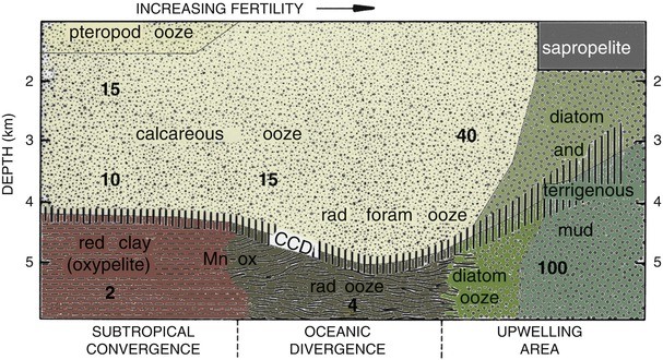 Deep-Sea Sediments: Patterns and Processes | SpringerLink