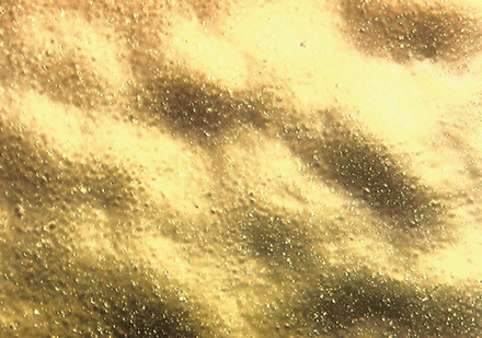 Craters and Other Coatings Defects: Mechanisms and Analysis | SpringerLink