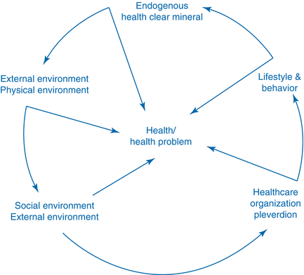 Health, Health Risks, and Mapping Public Health | SpringerLink
