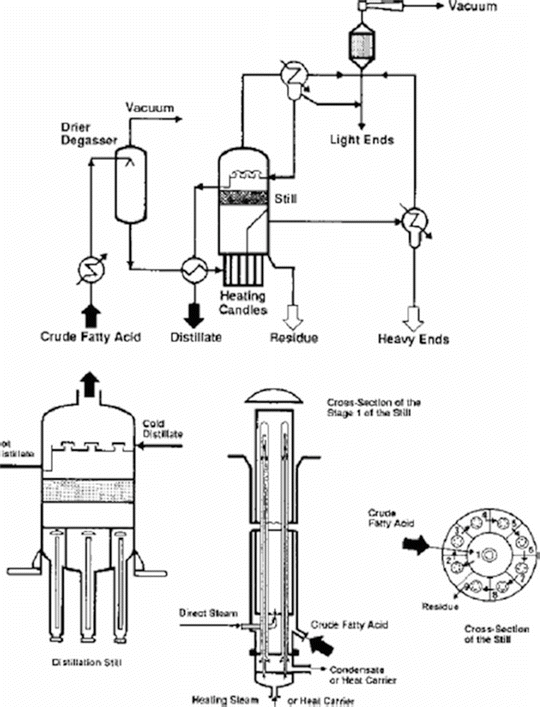 Soap, Fatty Acids, and Synthetic Detergents | SpringerLink