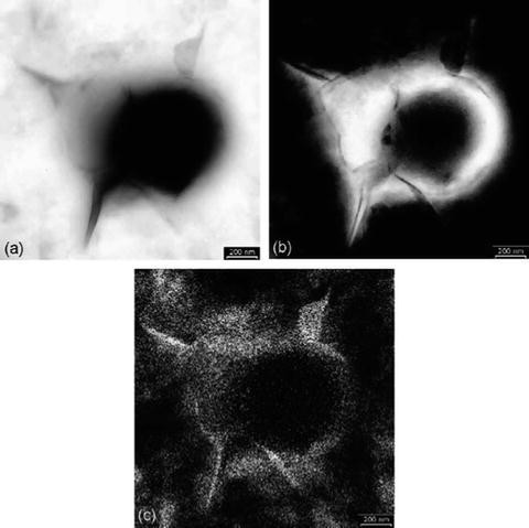 Electrostatic Adhesion | SpringerLink