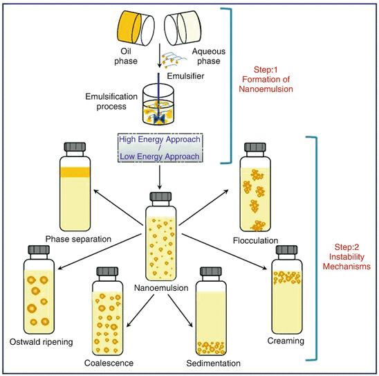 Food-Grade Nanoemulsions for Protection and Delivery of Nutrients ...