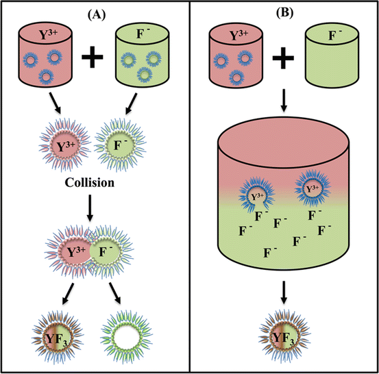 Reverse Micelles for Nanoparticle Synthesis and Biomolecule Separation ...