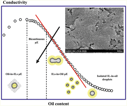 Reverse Micelles for Nanoparticle Synthesis and Biomolecule Separation ...