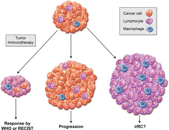 Cancer Imaging in Immunotherapy | SpringerLink