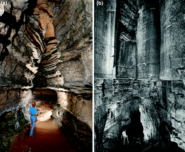 Geology of Mammoth Cave | SpringerLink