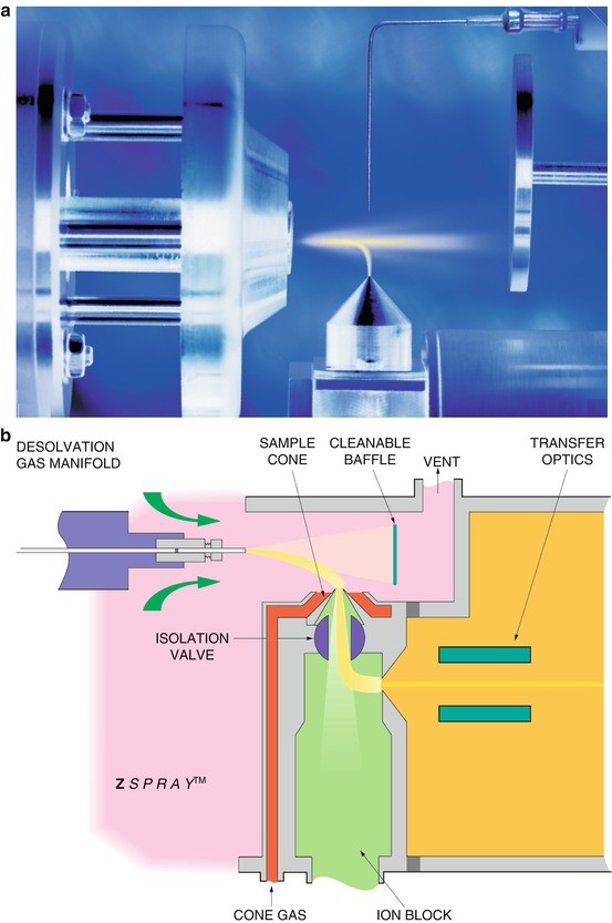 Electrospray Ionization | SpringerLink