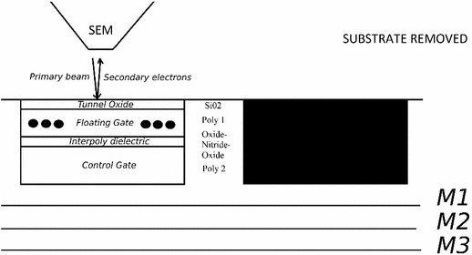 Reverse Engineering Flash EEPROM Memories Using Scanning Electron Microscopy | SpringerLink