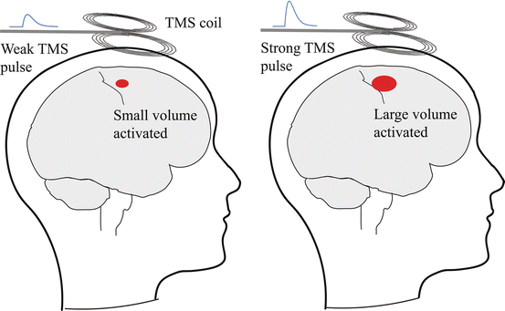 Basic Principles of Navigated TMS | SpringerLink