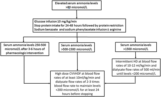 Neonatal Hyperammonemia | SpringerLink