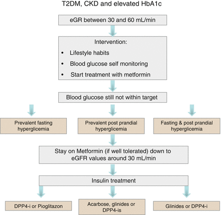 Patient with Hypertension and Microalbuminuria | SpringerLink