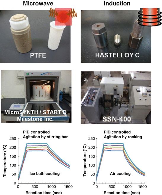 Microwave-Assisted Hydrothermal Processing of Seaweed Biomass ...