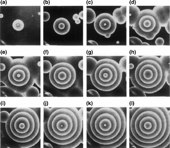 The Belousov–Zhabotinsky Reaction | SpringerLink