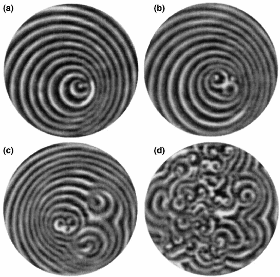 The Belousov–Zhabotinsky Reaction | SpringerLink
