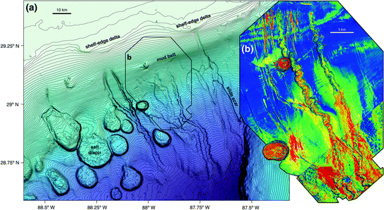Submarine Fans and Their Channels, Levees, and Lobes | SpringerLink