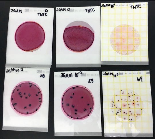 Enumeration of Aerobic Plate Counts, Coliforms, and Escherichia coli of ...