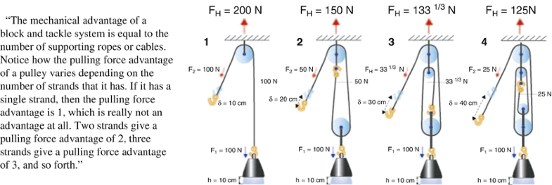 Multiple Representations in Physics and Science Education – Why Should ...