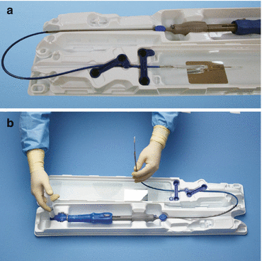 Transcatheter Aortic Valve Implantation: Medtronic CoreValve Evolut R ...