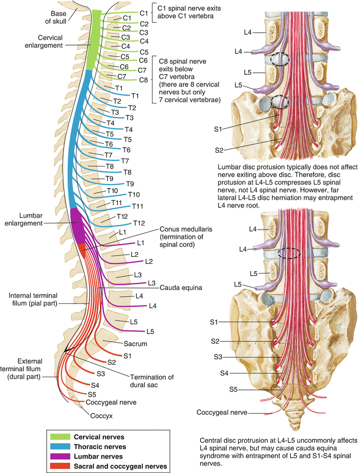 Lumbar Epidural Injections | SpringerLink