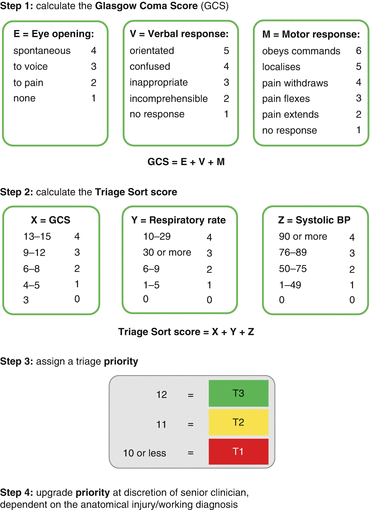 Triage | SpringerLink