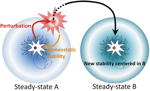What Is Neural Plasticity? | SpringerLink